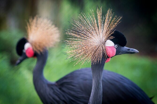 Barcelona Card: Museums + Transport for 72h, 96h or 120h - The Sum Up