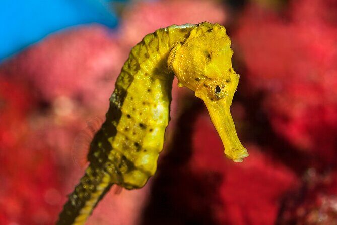 Barcelona Card: Museums + Transport for 72h, 96h or 120h - FAQ