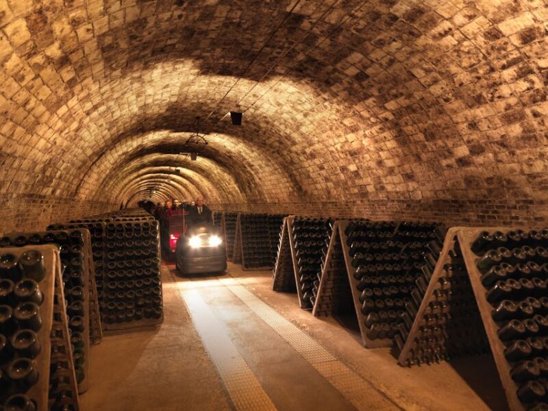 Barcelona: Casa Codorníu Guided Tour with Cava Tastings - Value and Practical Considerations