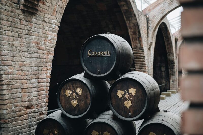 Barcelona: Casa Codorníu Guided Tour with Cava Tastings - Who Should Consider This Tour?