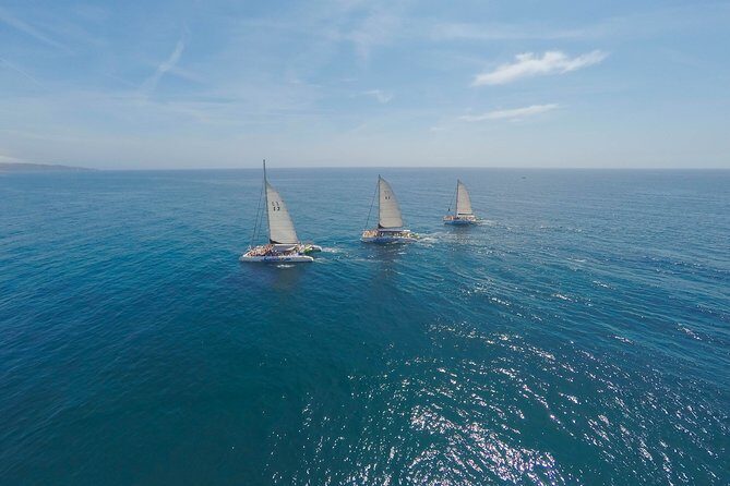 Barcelona Catamaran Party Tour For Young People - Navigating the Schedule and Route