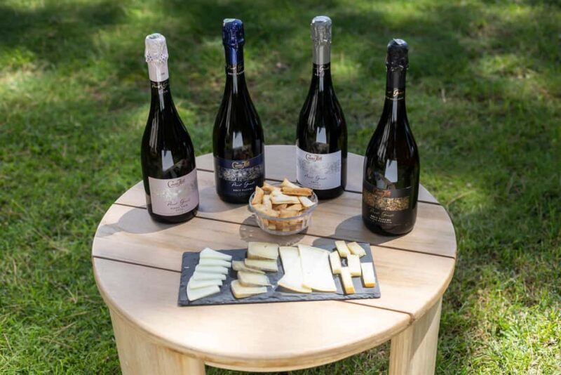 Barcelona: Cavas Hill - Winery Tour & Cheese Tasting - Key Points