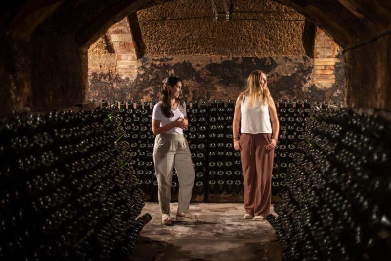 Barcelona: Cavas Hill - Winery Tour & Cheese Tasting - Final Thoughts: Is It Worth It?