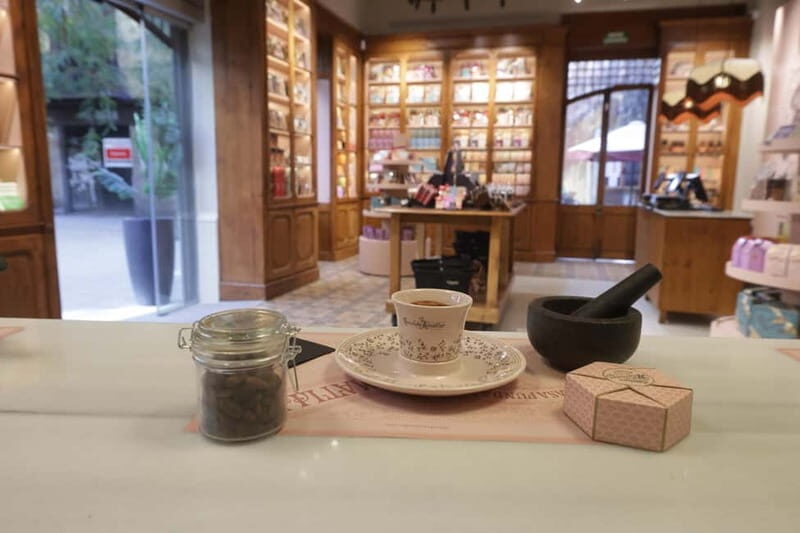 Barcelona & Chocolate Amatller History and Culture + Activity and Tasting - Introduction: A Sweet Journey into Barcelona’s Chocolate Heritage