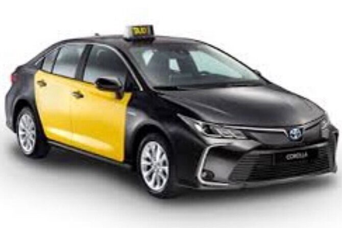 Barcelona City to Cruise Port Private Transfer - The Sum Up