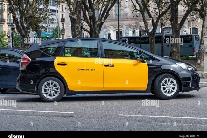 Barcelona city to/from Airport, cruise Port private Transfer - Addressing the Variability in Reviews