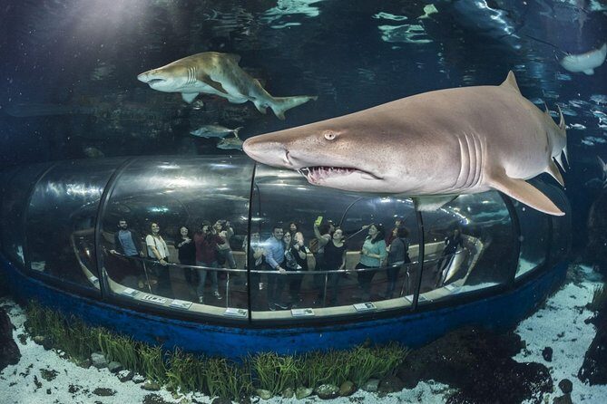 Barcelona City Tour Hop-On Hop-Off and Aquarium - The Itinerary: A Closer Look at the Highlights