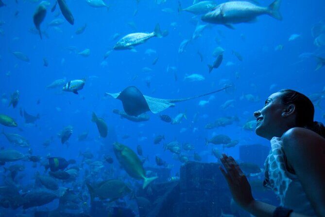 Barcelona City Tour Hop-On Hop-Off and Aquarium - Deep Dive Into the Itinerary