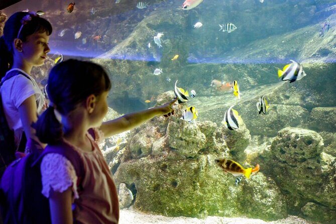 Barcelona City Tour Hop-On Hop-Off and Aquarium - Who Will Love This Tour?