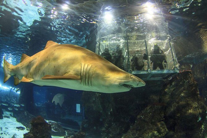 Barcelona City Tour Hop-On Hop-Off and Aquarium - Final Thoughts