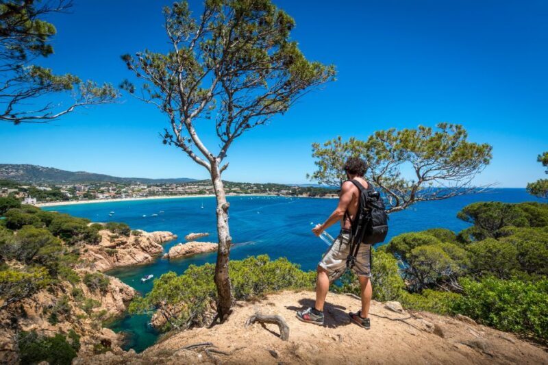 Barcelona: Costa Brava Easy Hike, Snorkel, Cliff-Jump & Meal - Key Points