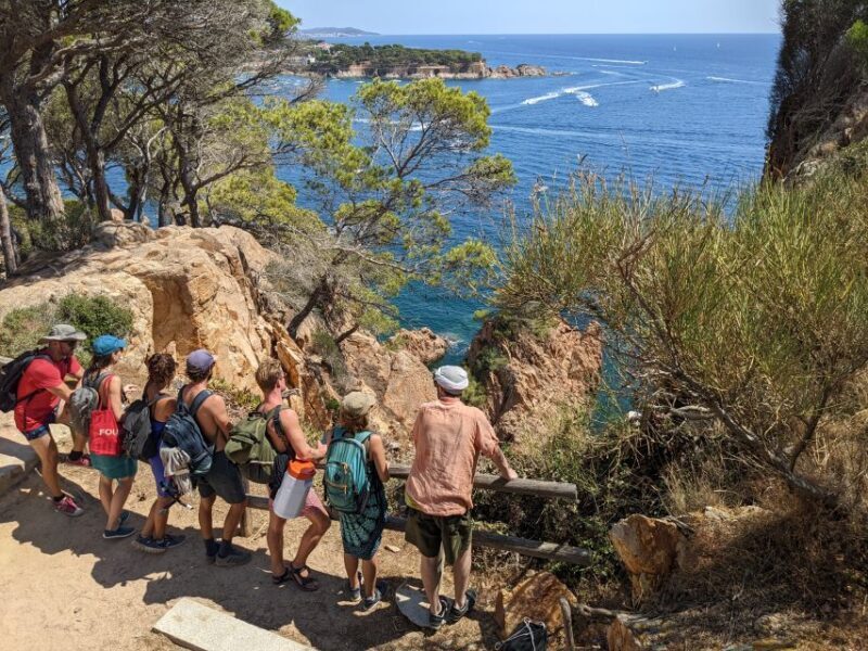 Barcelona: Costa Brava Easy Hike, Snorkel, Cliff-Jump & Meal - Final Thoughts: Who Is This Tour Perfect For?
