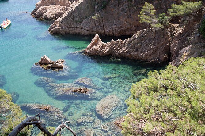 Barcelona: Costa Brava Easy Hike, Snorkel, Cliff-Jump & Meal - The Sum Up