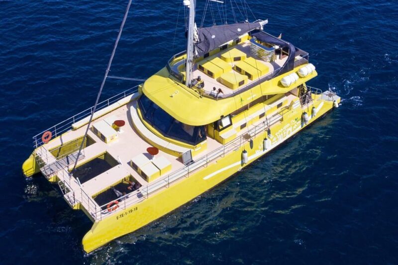 Barcelona: Daytime or Sunset Catamaran Cruise with Music - Who Will Love This Experience?