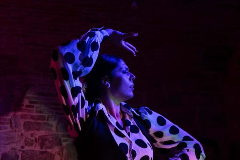 Barcelona: Espectáculo de Flamenco íntimo en Las Brujas - What to Expect from Las Brujas Flamenco Show