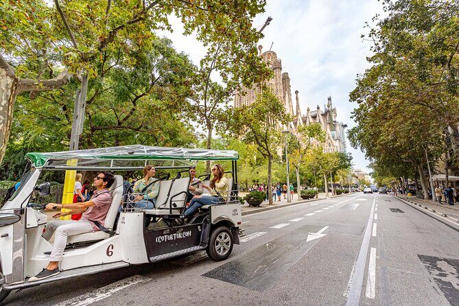 Barcelona Expert Tour with Local Guide in Eco Tuk Tuk Private - Who Will Love This Experience?