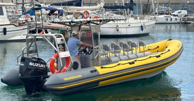 Barcelona: Fast Skyline Cruise - What Is the Barcelona: Fast Skyline Cruise?