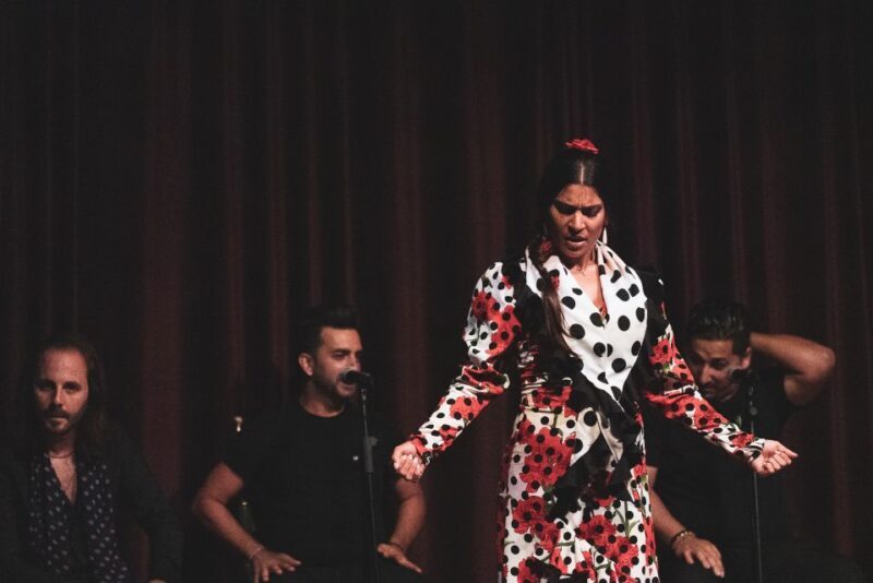 Barcelona: Flamenco Show at Palau Dalmases - An In-Depth Look at the Flamenco Experience