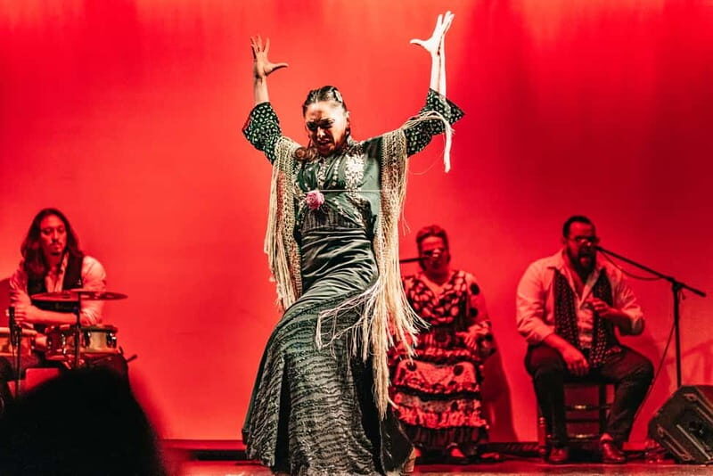 Barcelona: Flamenco Show at the Theater - Analyzing the Flamenco Experience