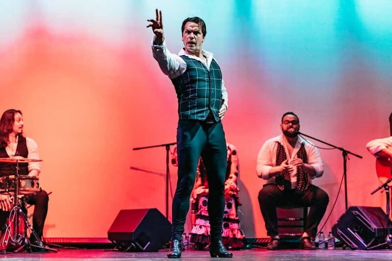 Barcelona: Flamenco Show at the Theater - Who Should Book This Flamenco Show?