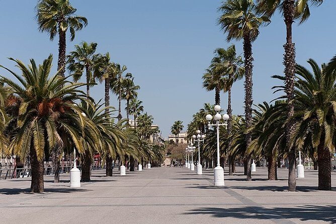 Barcelona Half-Day Sightseeing Private Tour - Who Should Book This Tour?