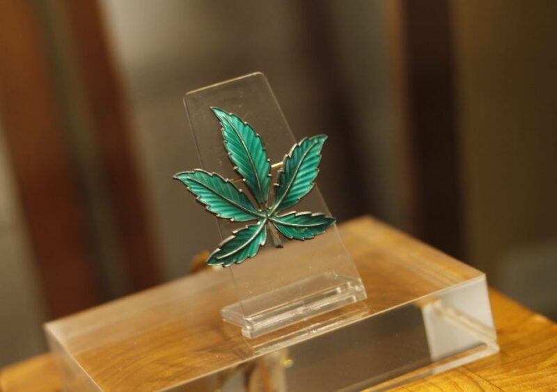 Barcelona: Hash Marihuana & Hemp Museum Entry Ticket - Interactive and Fun Features