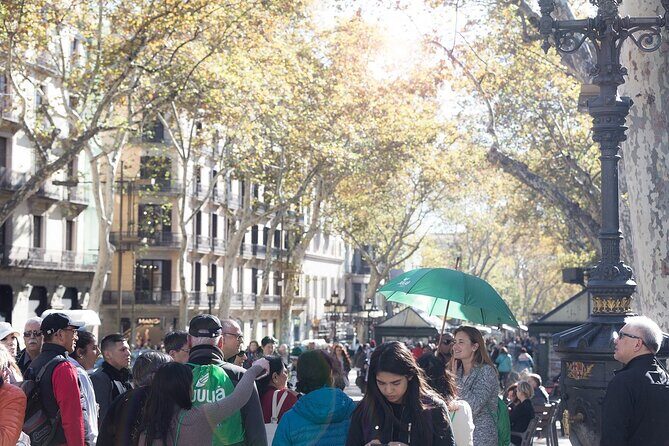 Barcelona Highlights Guided Tour with Monjuic Cable Car - The Sum Up