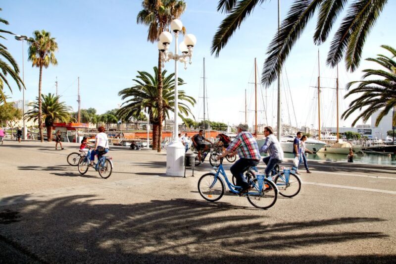 Barcelona Historical 3-Hour Bike Tour - Who Will Love This Tour?