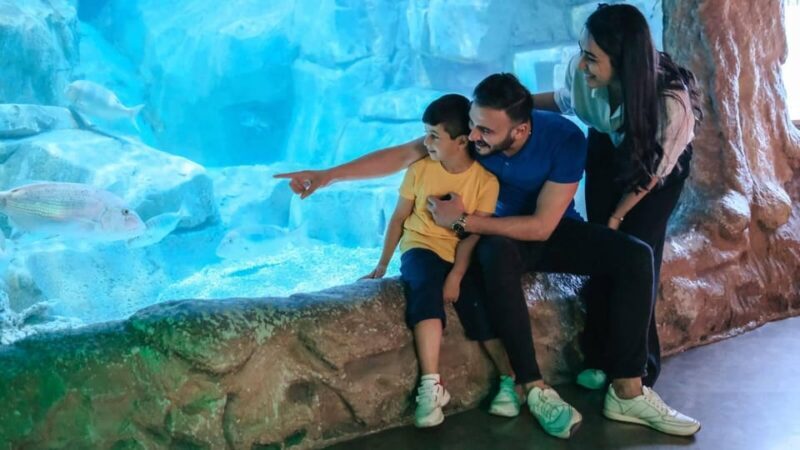 Barcelona: Hop-On Hop-Off Bus & Aquarium Tour - Practical Considerations and Tips