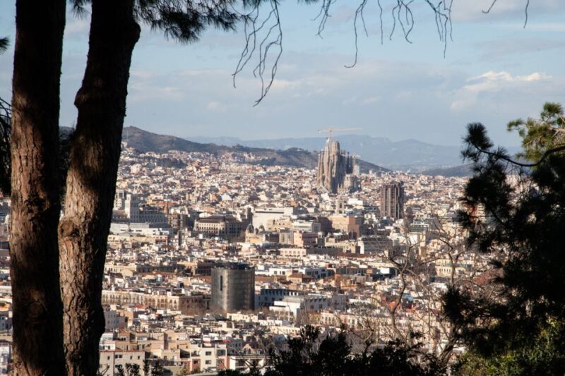 Barcelona: Montjuïc Walking Tour With Optional Flamenco Show - A Practical Breakdown of the Montjuïc Walking Tour