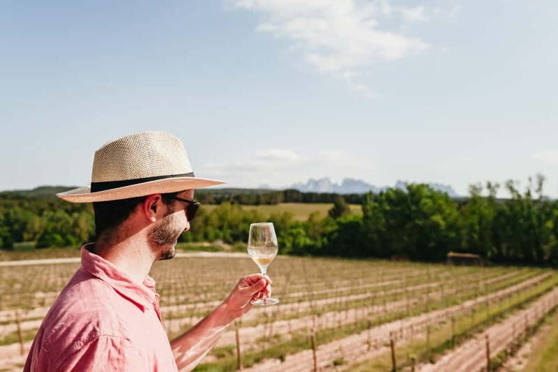 Barcelona: Montserrat, Cogwheel, Black Madonna & Winery Tour - The Sum Up