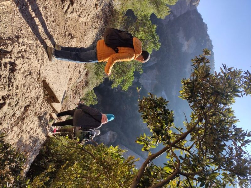 Barcelona: Montserrat Monastery & Hiking Off the Beaten Path - Free Time and Market Strolls