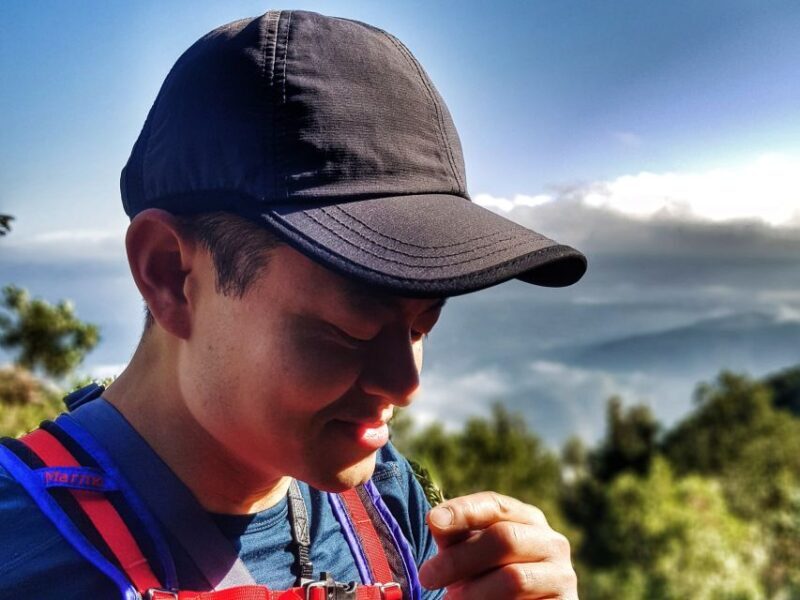 Barcelona: Montserrat Nature Experience and Monastery Visit - Transportation and Value