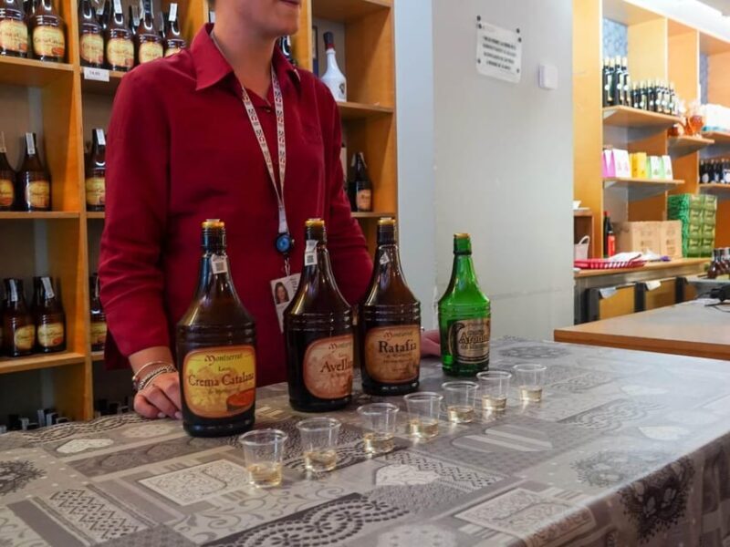 Barcelona: Montserrat Tour with Cog-Wheel & Black Madonna - Who Will Love This Tour?