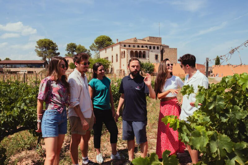 Barcelona: Montserrat with Winery, Lunch, and Train Options - Final Thoughts