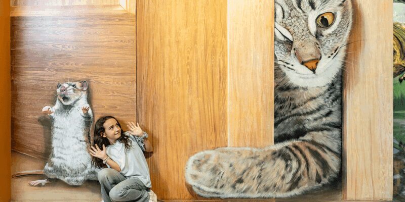 Barcelona: Museum of Illusions Interactive & Fun Experience - Tips for Visiting