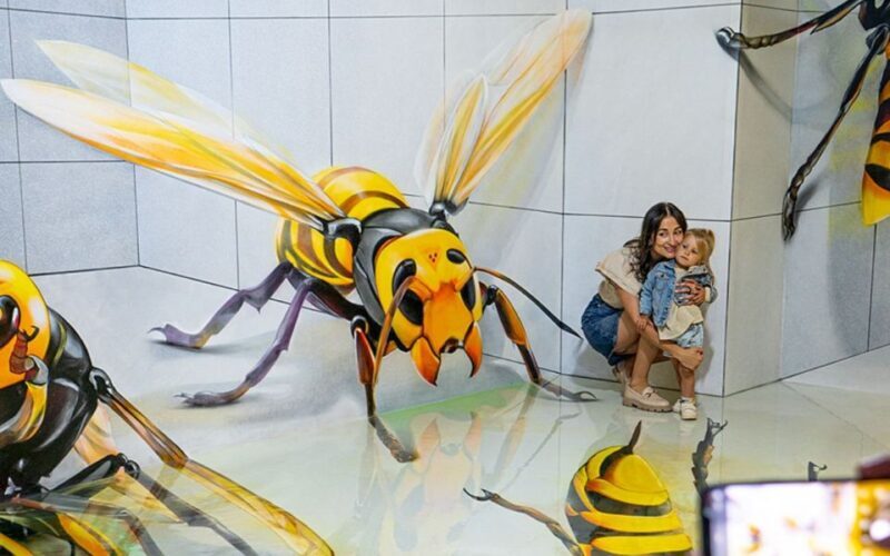 Barcelona: Museum of Illusions Interactive & Fun Experience - FAQ