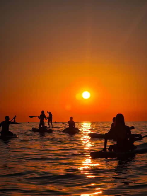 Barcelona: Paddleboarding at Sunrise. Includes: instructor, photos, equipment - Frequently Asked Questions