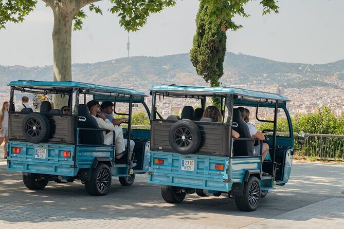 Barcelona Panoramic Private Tuk Tuk Tour - Key Points