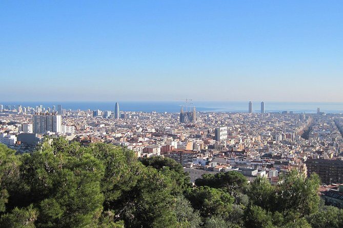 Barcelona: Park Guell Skip the Line Guided Tour - The Value of a Guided Tour at Park Güell