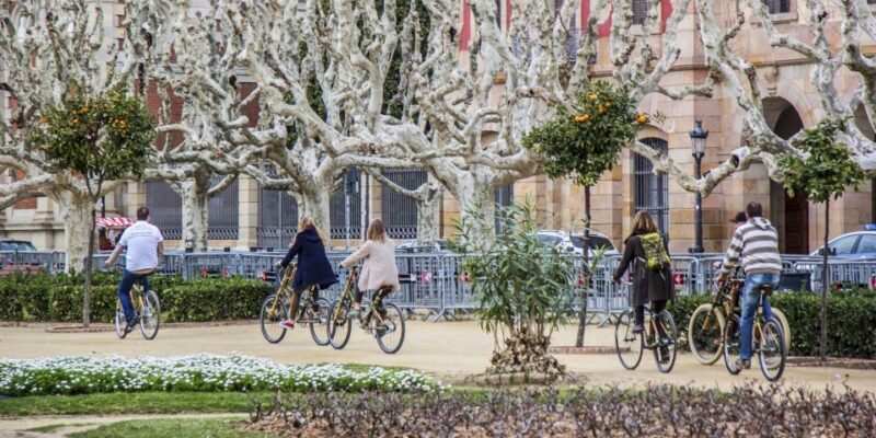 Barcelona: Private Highlights Tour by Bamboo Bicycle - Exploring the Route: What You’ll See and Experience