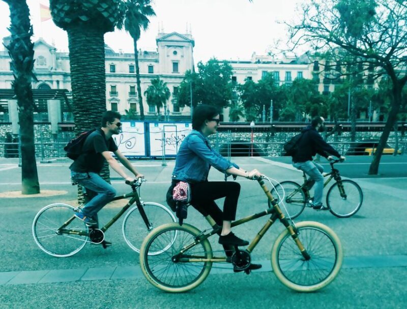 Barcelona: Private Highlights Tour by Bamboo Bicycle - Why This Tour Is a Great Choice