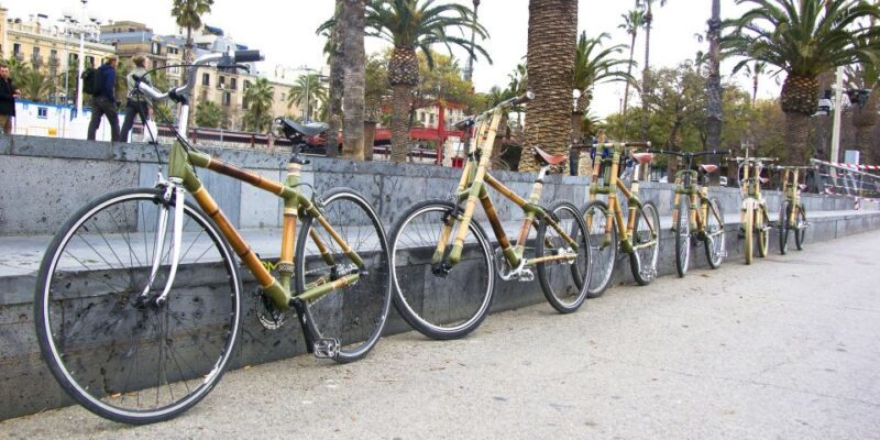 Barcelona: Private Highlights Tour by Bamboo Bicycle - Final Thoughts: Is It Worth It?
