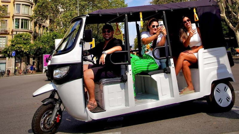 Barcelona: Private Hop-On Hop-Off Lion Tuk Tuk Tour - Key Points