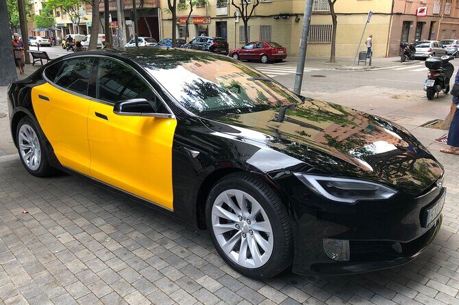 Barcelona Private Transfer from Cruise Terminal to barcelona city - Who Is This Transfer Best For?