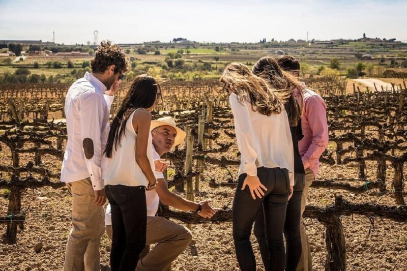 Barcelona: Sailing and Alella Winery Tour with Wine Tasting - Barcelona: Sailing and Alella Winery Tour with Wine Tasting — A Genuine Journey of Views and Vine