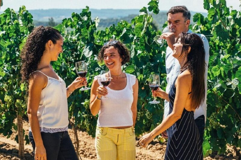 Barcelona: Sailing and Alella Winery Tour with Wine Tasting - Practical Details: What You Need to Know