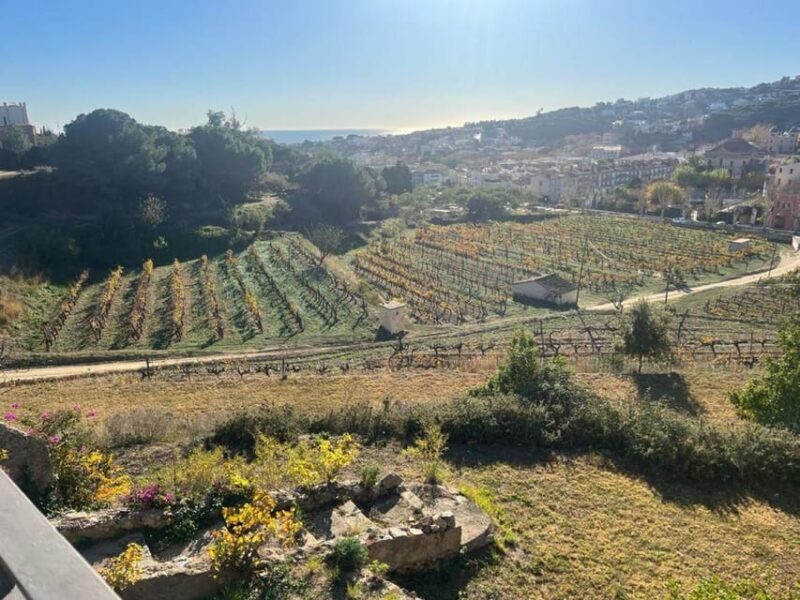 Barcelona: Sailing and Alella Winery Tour with Wine Tasting - The Sum Up: Is This Tour Worth It?
