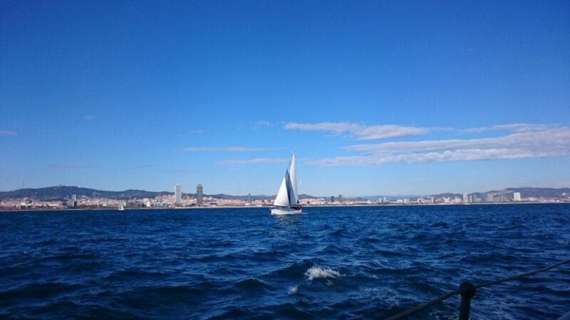 Barcelona: Sailing Tour with a Glass of Cava - Swimming and Wildlife Watching