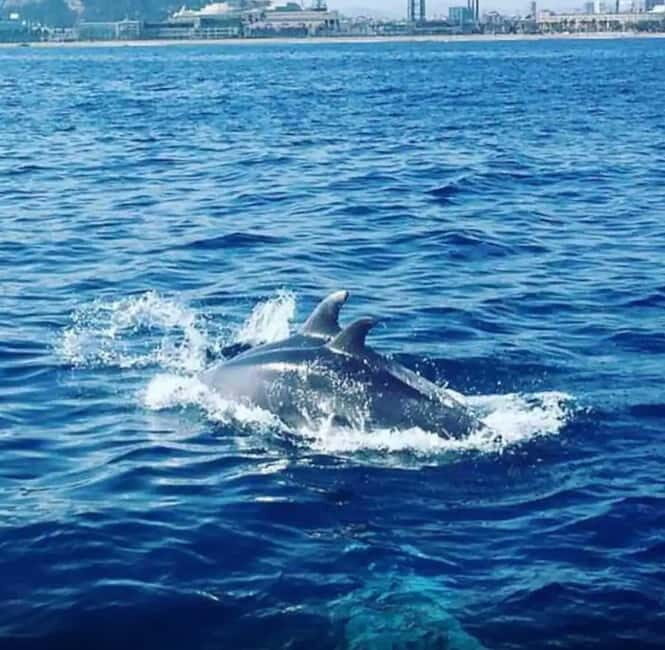 Barcelona: Sailing Tour with Drinks and Snacks - Barcelona: Sailing Tour with Drinks and Snacks — A Complete Guide  